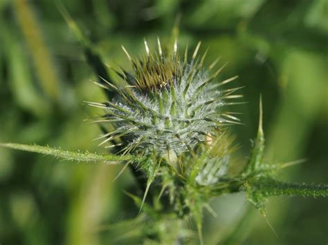 The Year Women Stopped Coding