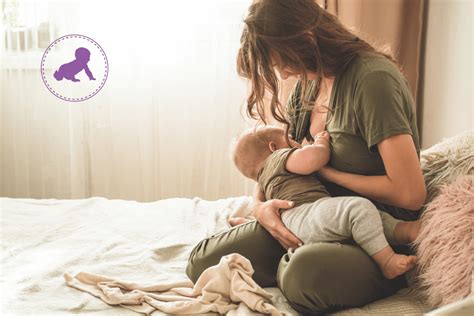 Alimentazione Ed Allattamento Educatore Perinatale