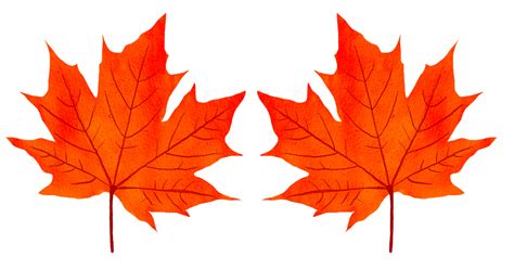 Осінні матеріалиОсінні листочкиРоздаткові матеріали Інші методичні