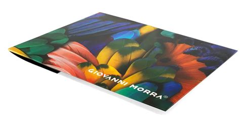 ჯოვანი მორა საპასპორტე მფრინავი მღებავი Veli Store