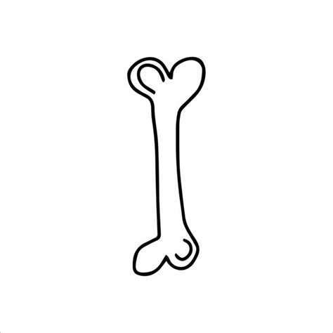 Bone Outline Vector Art Icons And Graphics For Free Download