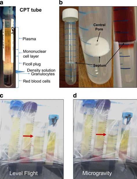 Evaluation Of Techniques For Performing Cellular Isolation And Preservation During Microgravity