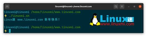 如何使用 bash 连接字符串 linux迷