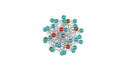 Network Plot For Analyzing And Visualizing Relationship Of Genes