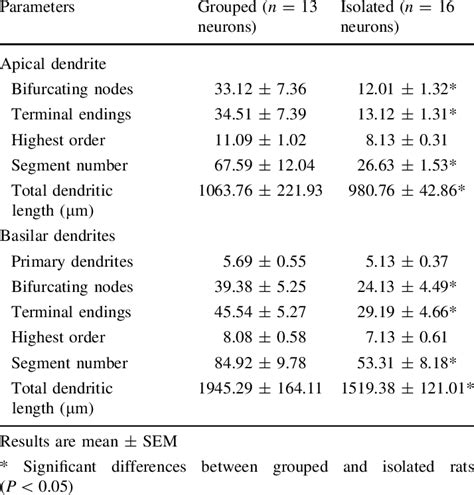 Morphometric Features Of Layer Iiiii Pyramidal Neurons In The Mpfc
