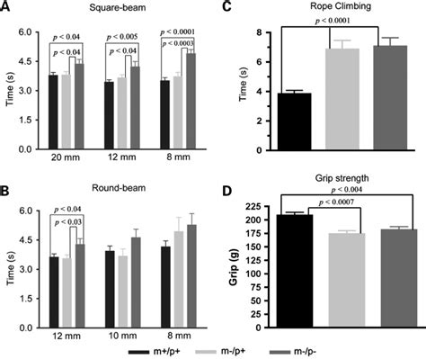 Quantitative Analysis Of Grip Strength Vertical Rope Climbing And Download Scientific Diagram