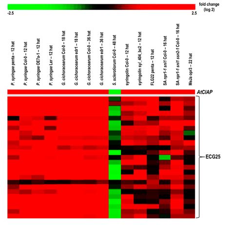 The Heatmap Constructed To Illustrate The Fold Change Log2 In