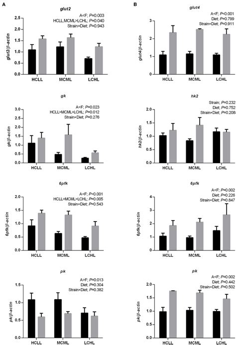 Gene Expression Levels Of Selected Glucose Transporter And Glycolytic Download Scientific