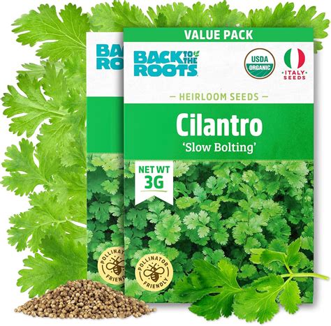 Back To The Roots 100 Organic Seed Packets Cilantro Slow
