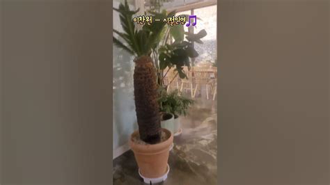 멋진 공간☕️ 이찬원의 시절인연🎵💕 Youtube