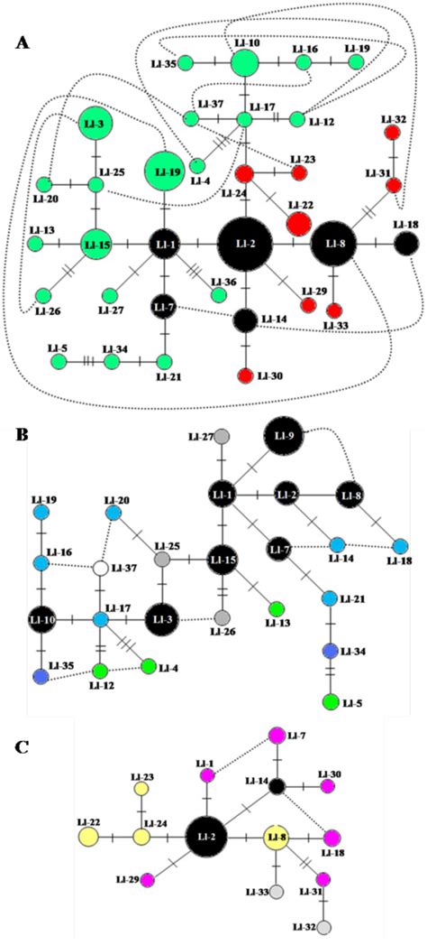 Mantel Test Correlation Between The Genetic Structuring And The Download Scientific Diagram