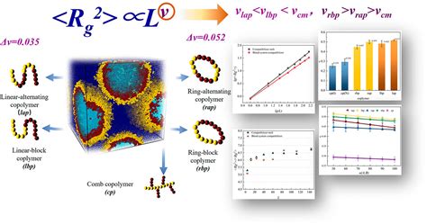 The Conformational Statistics Of Amphiphilic Polymers With Distinct Topological Structures At