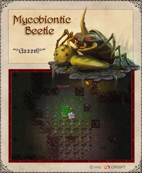 Mycobiontic Beetle Tibiawiki Fandom