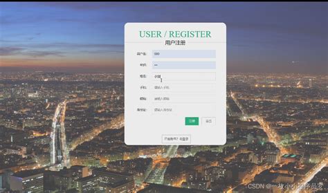 旅游网站、旅游系统 Csdn博客
