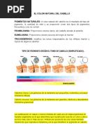 Altura De Tono Y Colorimetría Del Cabello Pdf Color Rojo