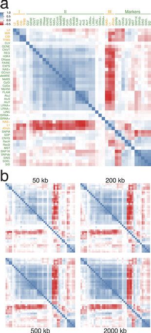 Co Localizations Among Genomic Features A Heat Map Of Pairwise Download Scientific Diagram