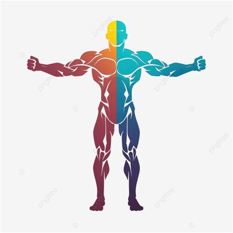 근육 기호 색상 건강한 건강 근육질의 Png 일러스트 및 이미지 에 대한 무료 다운로드 Pngtree