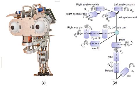Muecas A Multi Sensor Robotic Head For Affective Human Robot