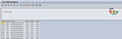 An SAP Consultant ABAP ALV Report Example With Steps