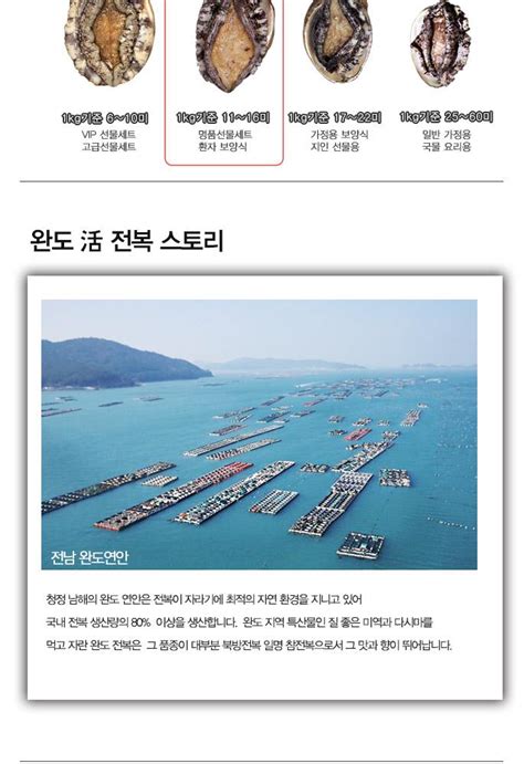 Wando Premium Abalone No 1 In South Korea Ae Abalone Masterpiece Sodat