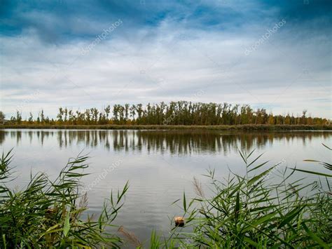 Paisaje De Un R O Con Aguas Tranquilas En Oto O Y Reflejo De Los Rboles