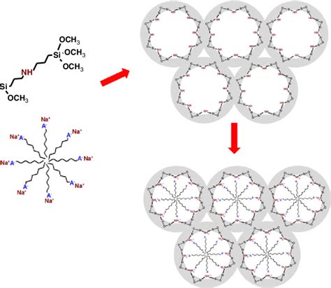 Scheme Of Btmsa Polycondensation Download Scientific Diagram