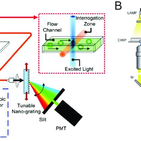 A Schematic Of The Microfluidic Multispectral Flow Cytometry Mmfc Download Scientific