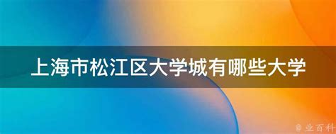 上海市松江区大学城有哪些大学 业百科
