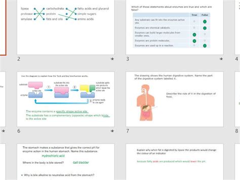 Aqa Science Trilogy Biology Unit 3 Revision Teaching Resources