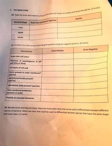 Solved The Gram Stain Species Bacterial Shape Gram Stain Positive Or