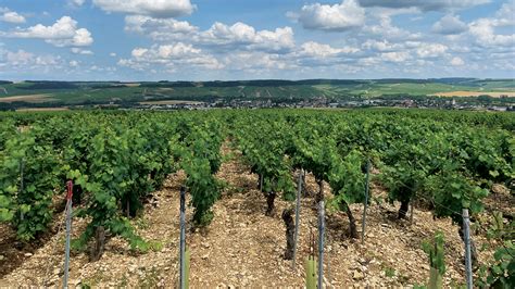 Domaine Laroche