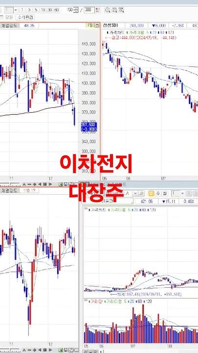 이차전지 대장주 에코프로 삼성sdi Lg에너지솔루션 Sk이노베이션 이차전지관련주 Youtube