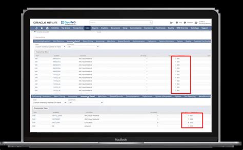 Data Management With Netsuite Bulk Upload Openteq