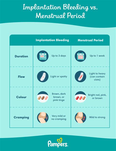 Implantation Bleeding Color