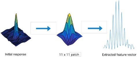 Feature Vector Extraction For The Proposed Occlusion Detection Module Download Scientific Diagram