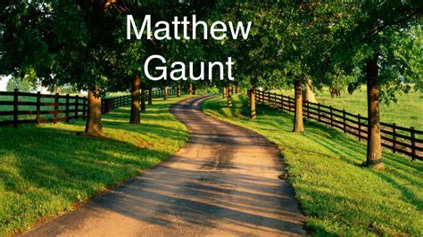matthew gaunt portfolio