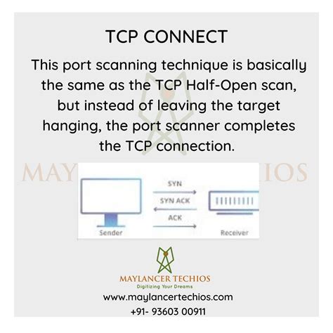 C Simple Tcp Syn Port Scaner Victoriafer
