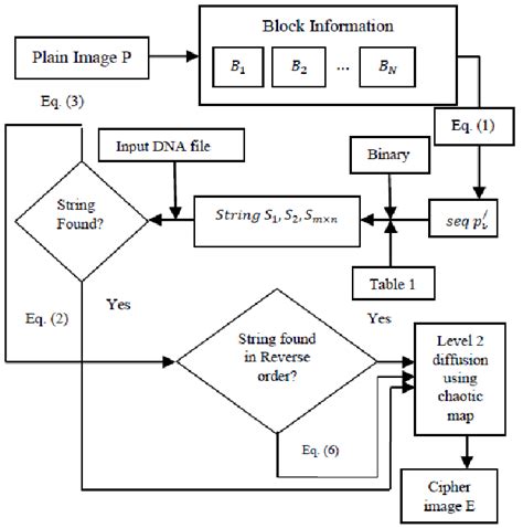 Detail Flowchart Of The DNA Operations Download Scientific Diagram