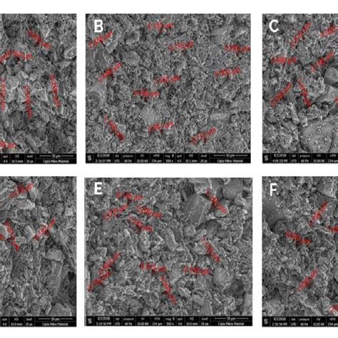 Sem Microstructure Analysis Of Samples A 75 25 B 80 20 C Download Scientific Diagram