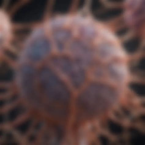 Exploring Neuron Origin Foundations Of Neural Development