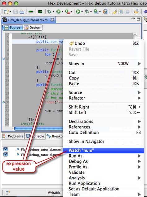 Using Adobe Flex Debugger