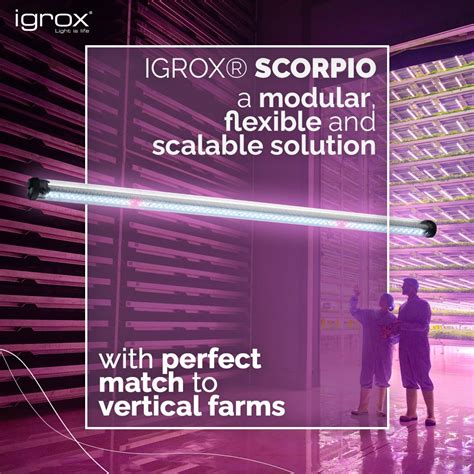 Marco Belloni Posted On Linkedin