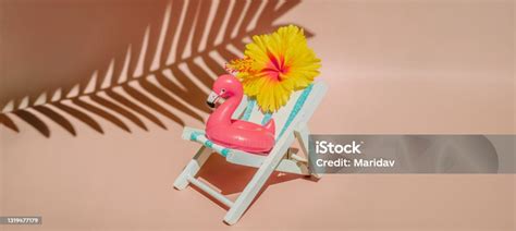 여름 방학 여행 개념 핑크 플라밍고 수영장 플로트와 열대 꽃 야자나무 잎 태양 그늘 실루엣 배너 배경 미니어처 비치 의자 장식용 조각상에 대한 스톡 사진 및 기타 이미지