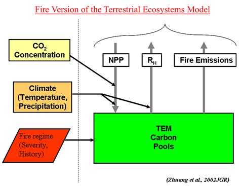 Terrestrial Ecosystem Diagram