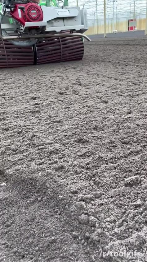 Planting Radish Seeds  On Imgur