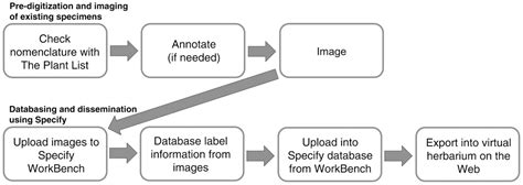 Digitizing Specimens In A Small Herbarium A Viable Workflow For Collections Working With