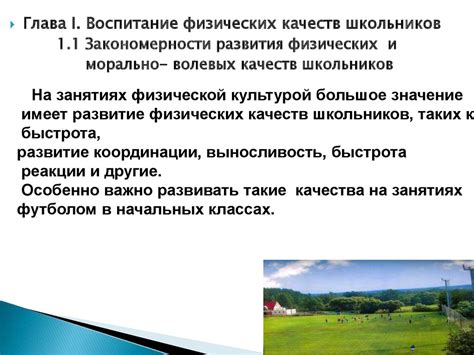 Методика обучения элементам игры в футбол на уроках физической культуры в начальной школе