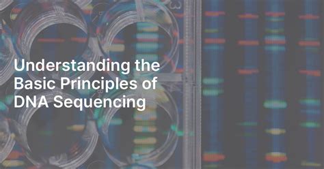 Understanding The Basic Principles Of Dna Sequencing