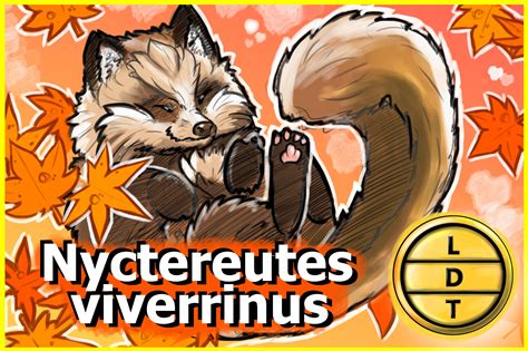 How Does The Tanuki Survive Eating Toxic Frogs And Other Spicy Snacks