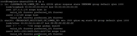 Configure IPV On Virtual Machines Located On Host Housed By Scaleway Dedibox Ex Online Net
